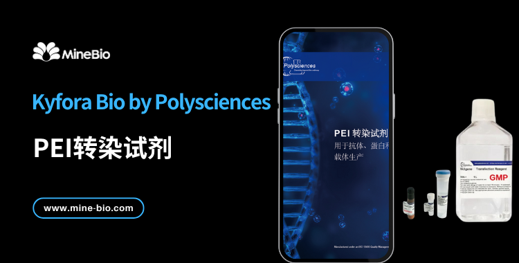 Kyfora by Polysciences PEI转染试剂